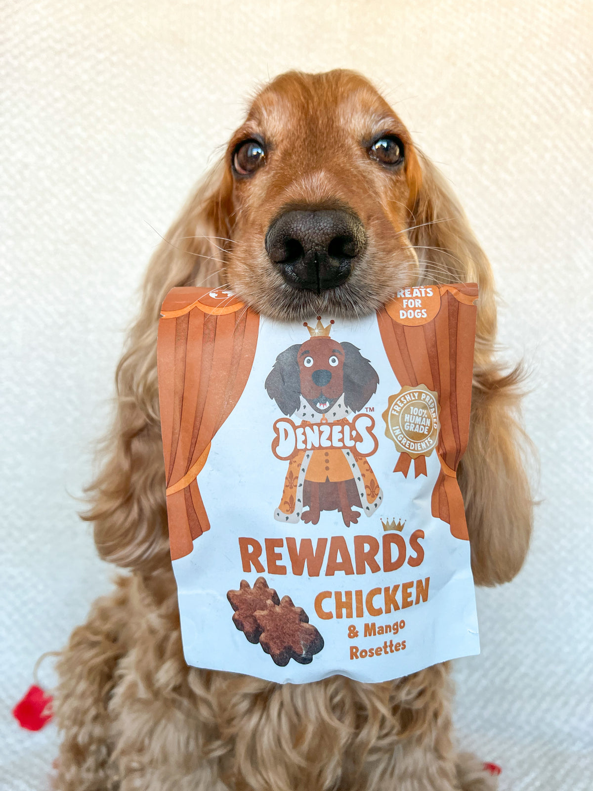 Denzel's Chicken and Mango - High-Value Dog Treats